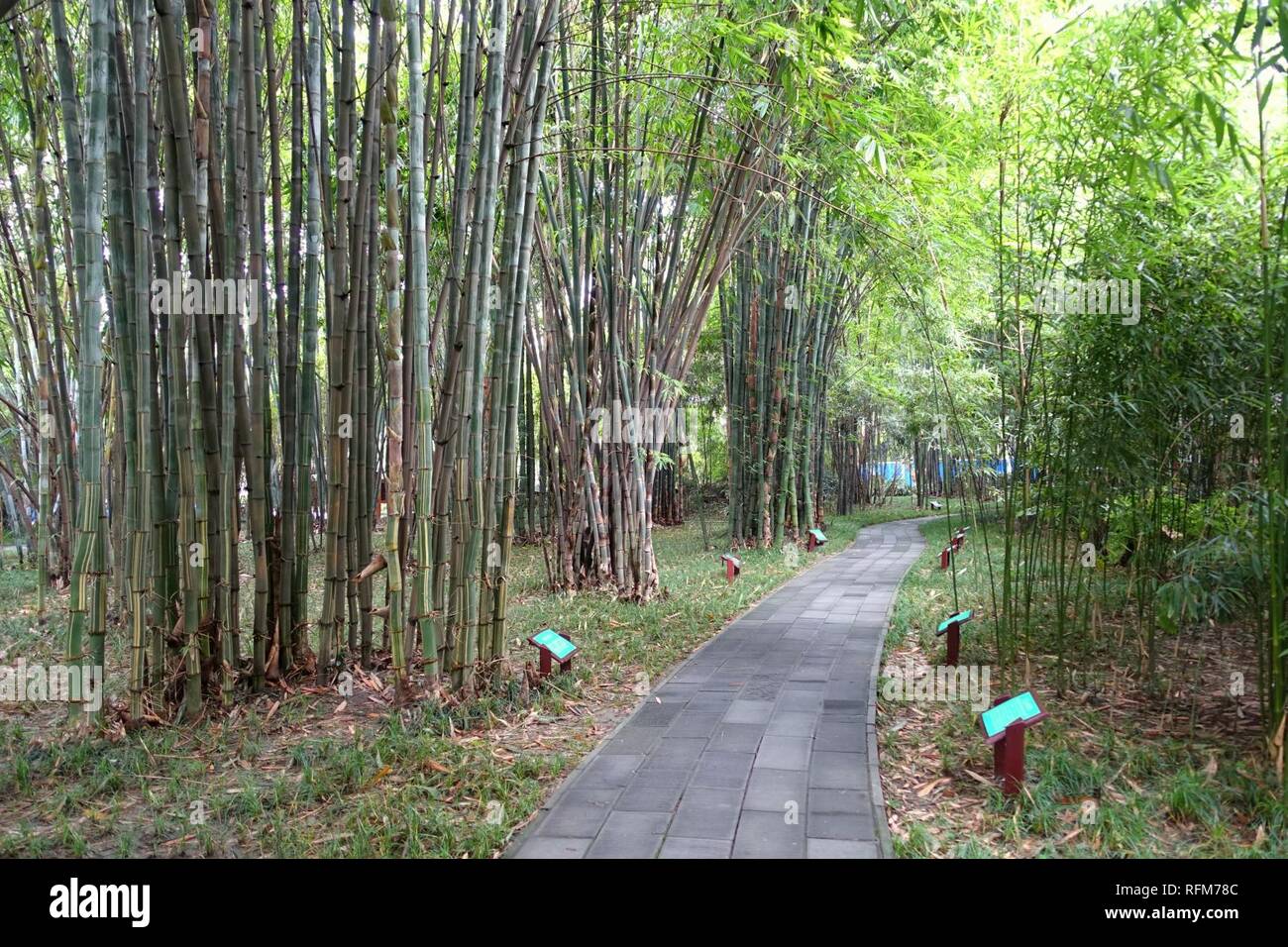 Bamboo collection - Wangjianglou Park - Chengdu, China Stock Photo - Alamy