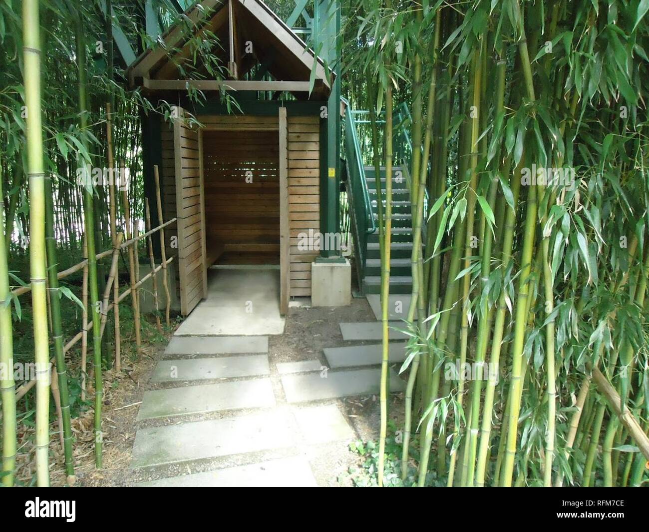 Bamboo surrounding treetop viewing structure Stock Photo - Alamy