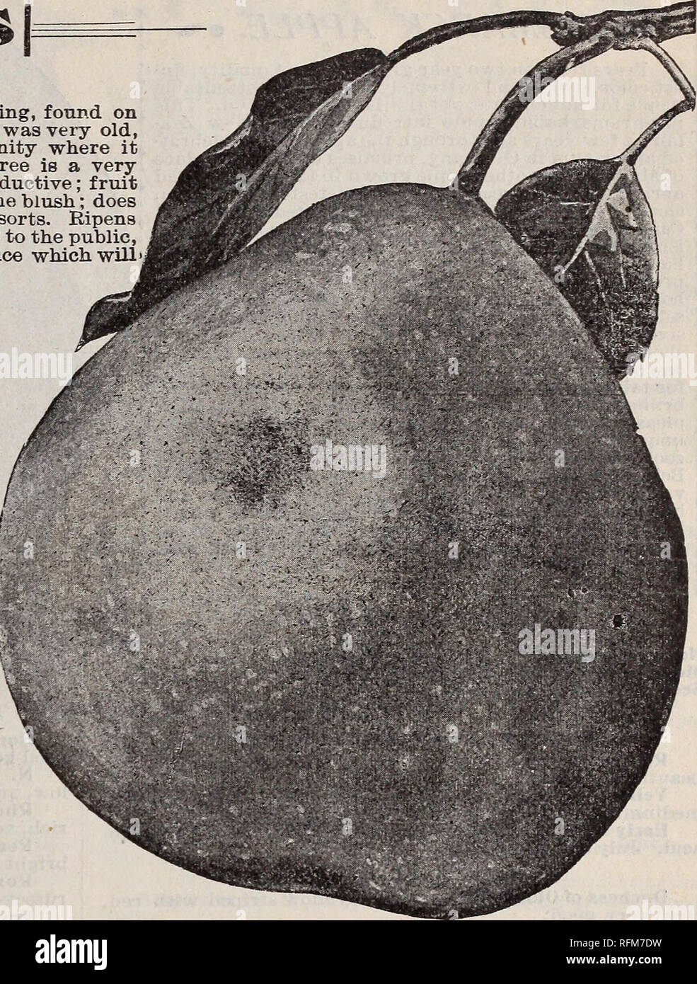 Community tree blight hi-res stock photography and images - Alamy