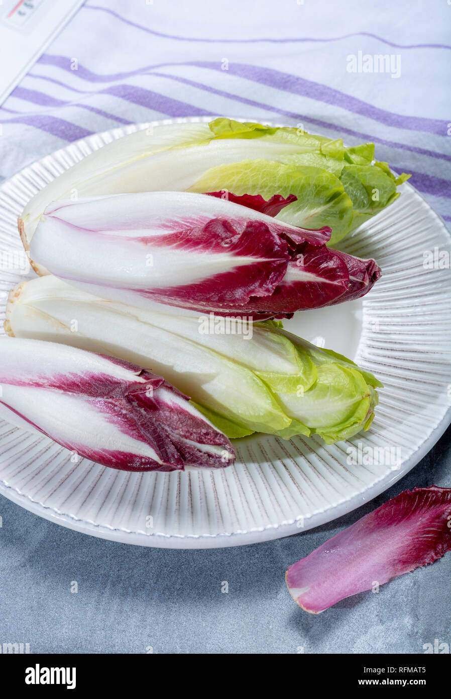 Group of fresh green Belgian endive or chicory and red Radicchio ...