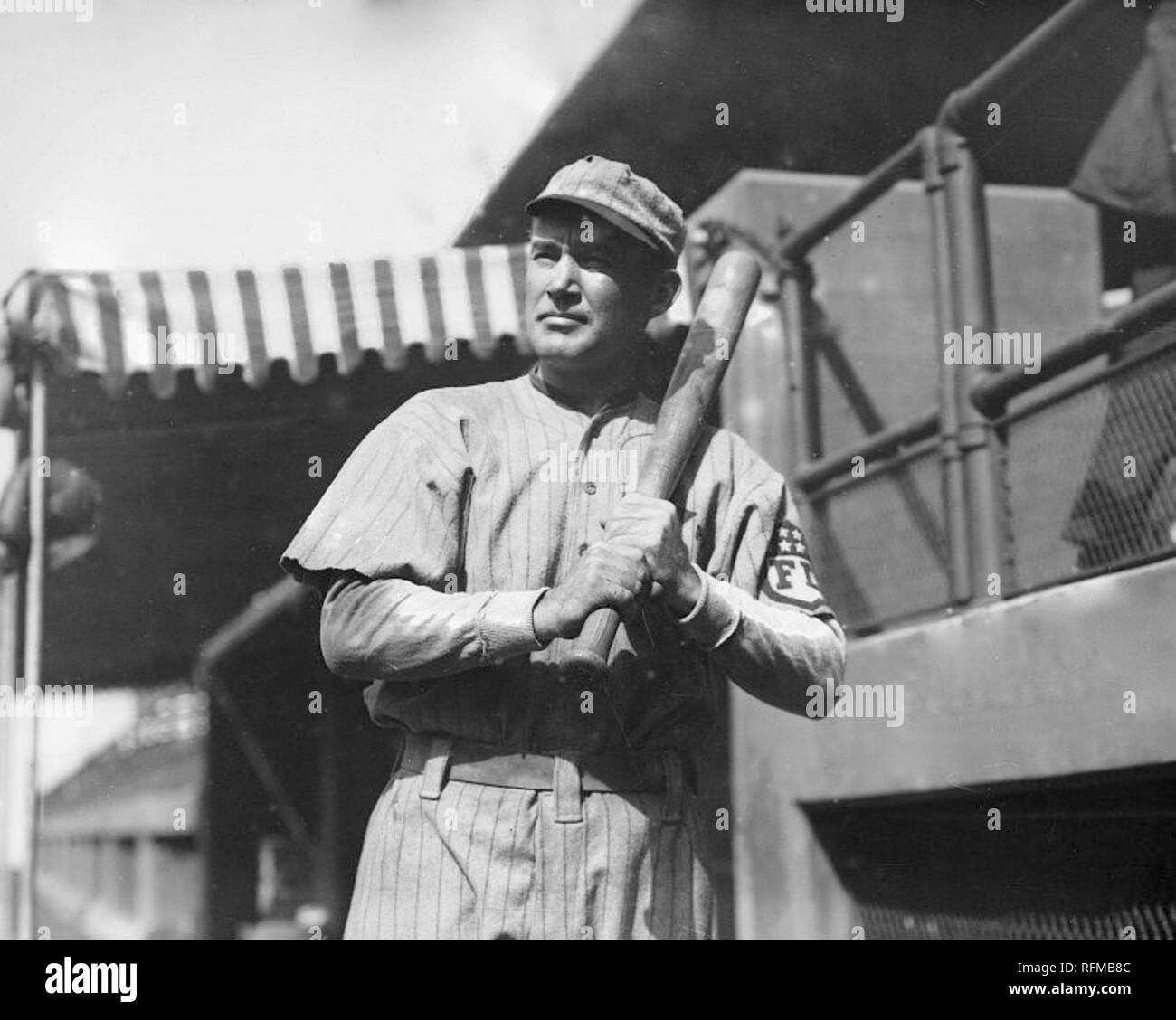 Louis terriers hi-res stock photography and images - Alamy