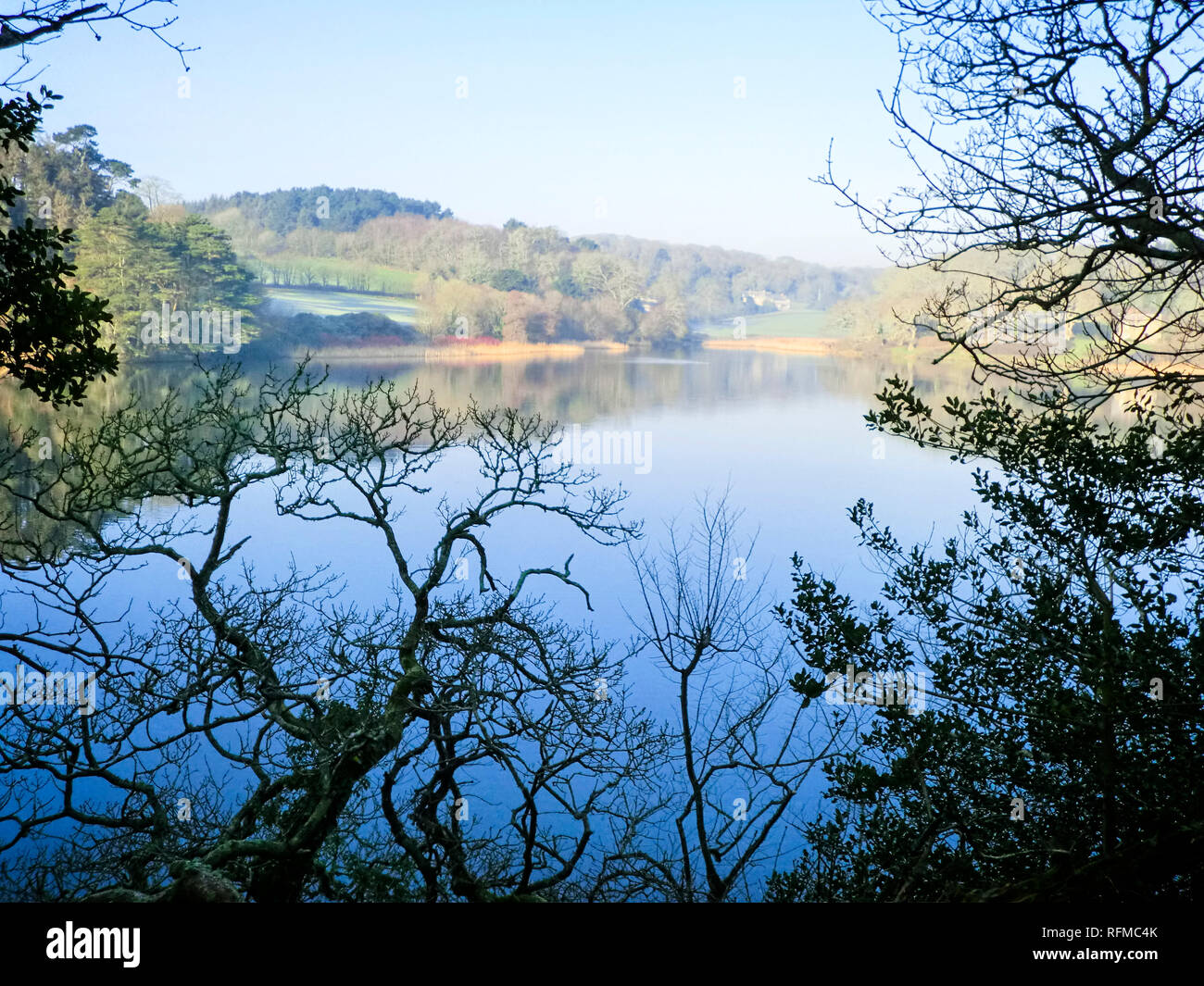 Helston Loe Pool in winter, Cornwall, England, UK Stock Photo - Alamy