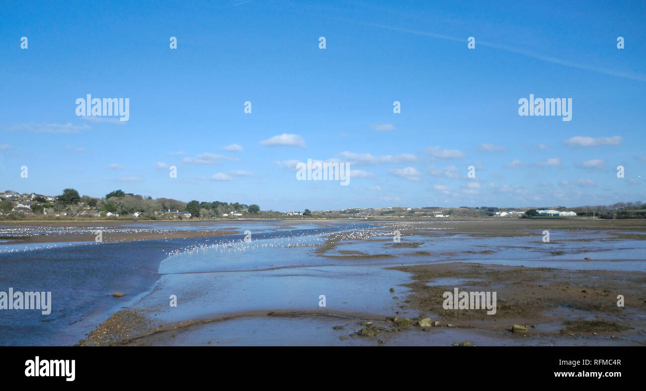 Rspb hayle estuary hi-res stock photography and images - Alamy