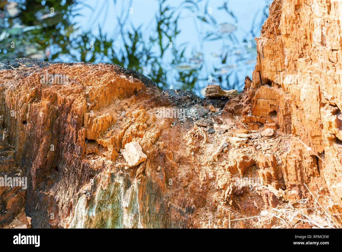 Abstract background of the rotten wooden texture Stock Photo - Alamy