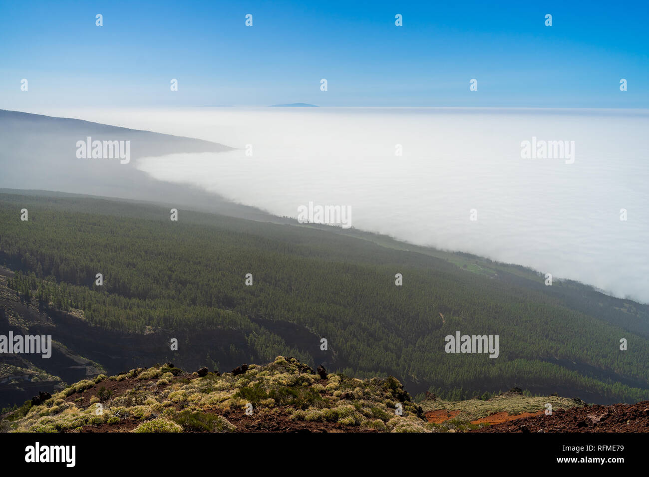 Mirador la tarta hi-res stock photography and images - Alamy