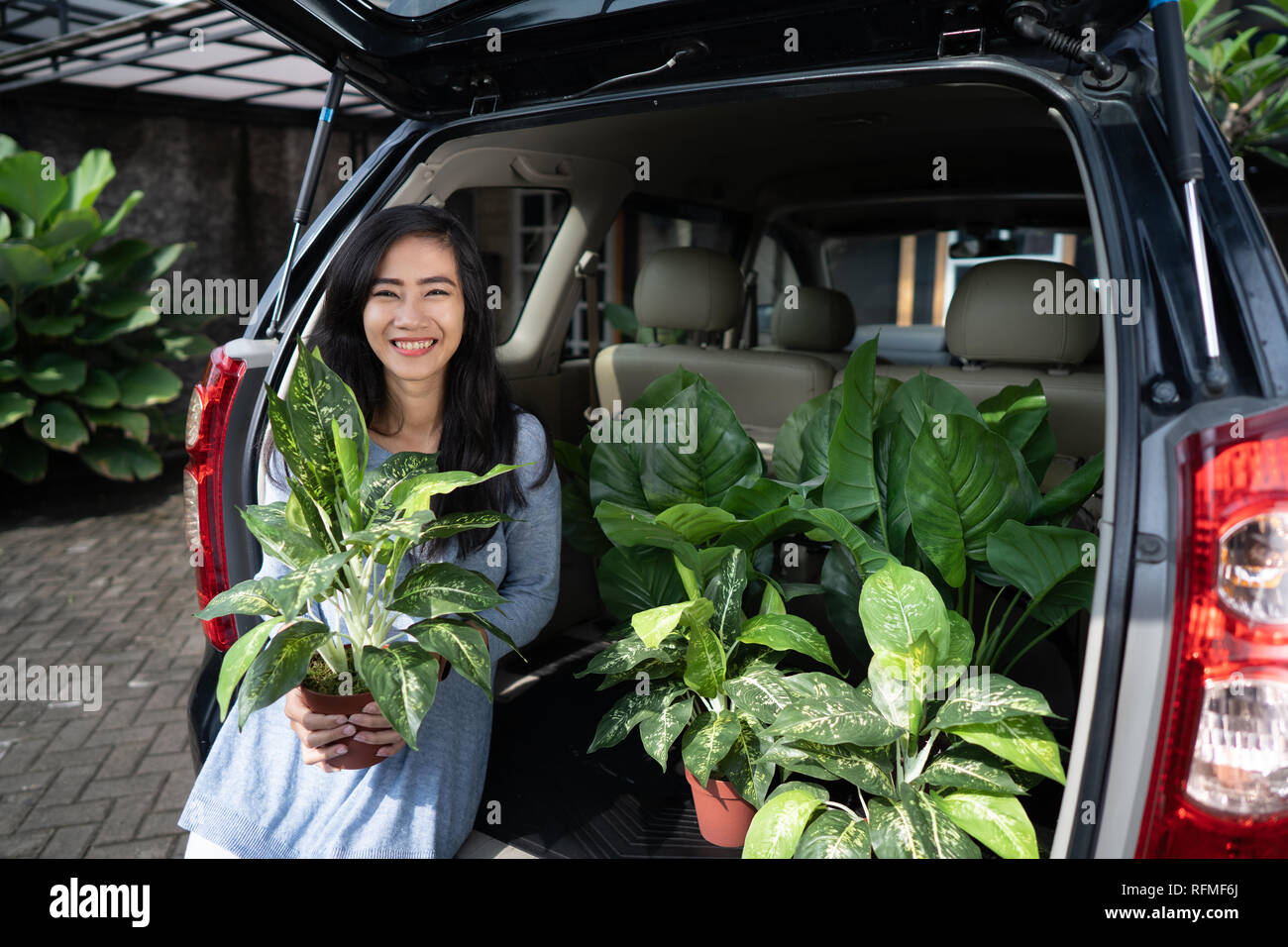 woman with plant and tree in her car trunk Stock Photo - Alamy