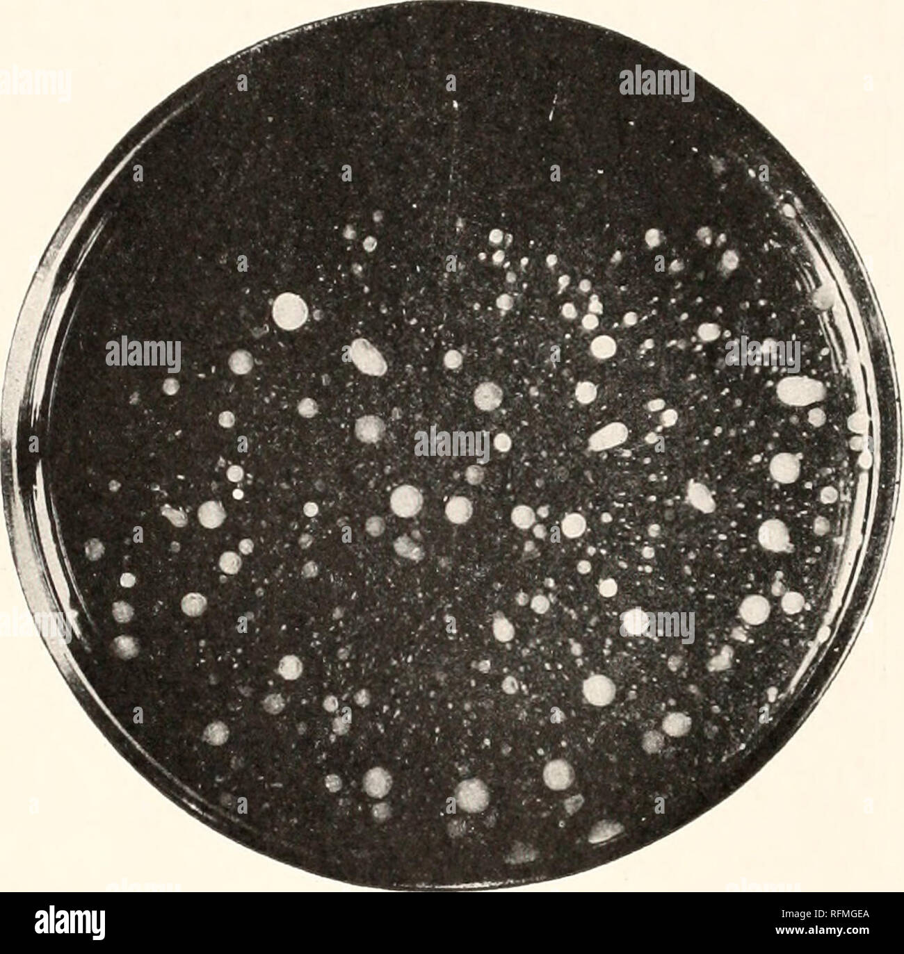 . Carnegie Institution of Washington publication. COBB S DISEASE OF ...