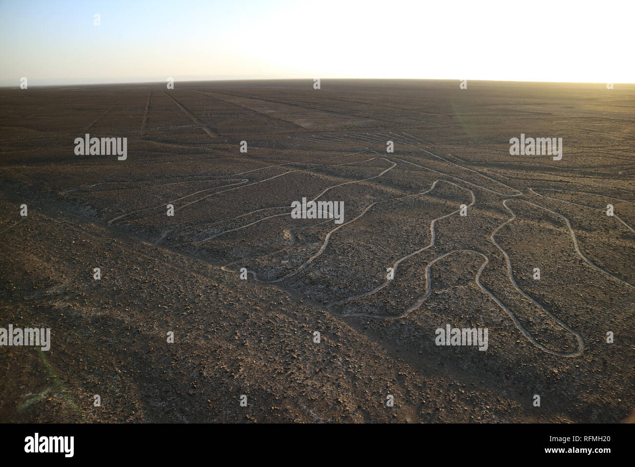 The famous large ancient geoglyphs Nazca lines called Arbol (tree) in ...