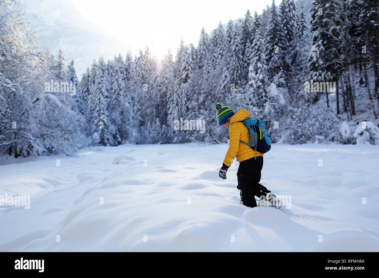 Young boy in yellow winter jacket playing in snow in winter wonderland ...