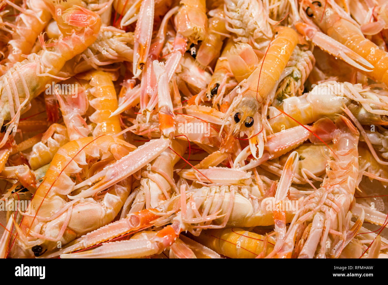 Fresh crayfish is sold at Rialto Market, Mercato di Rialto Stock Photo ...