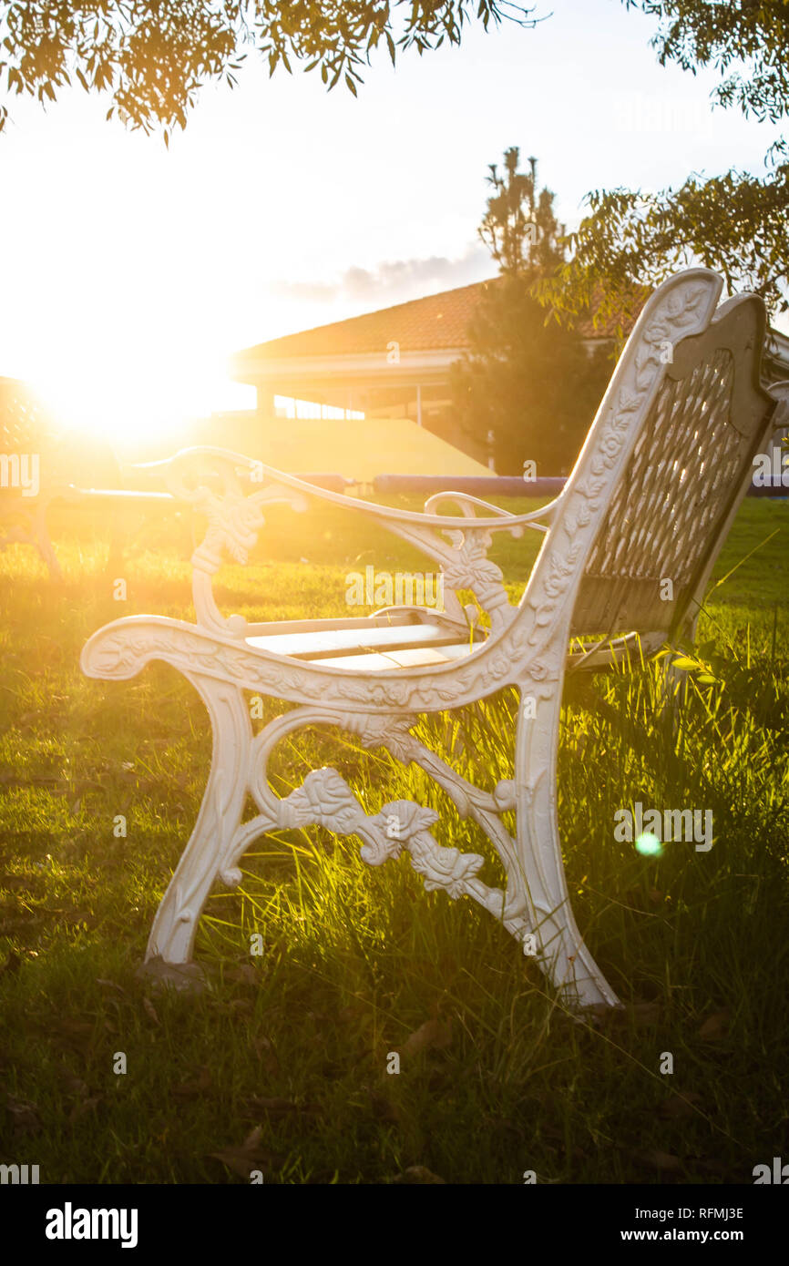 Chair in the park hi-res stock photography and images - Alamy
