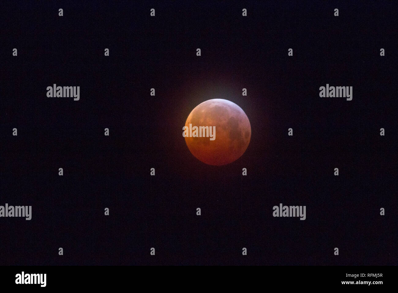 Blood moon, Wolf Moon, red moon, Eclipse of the moon, Total lunar ...