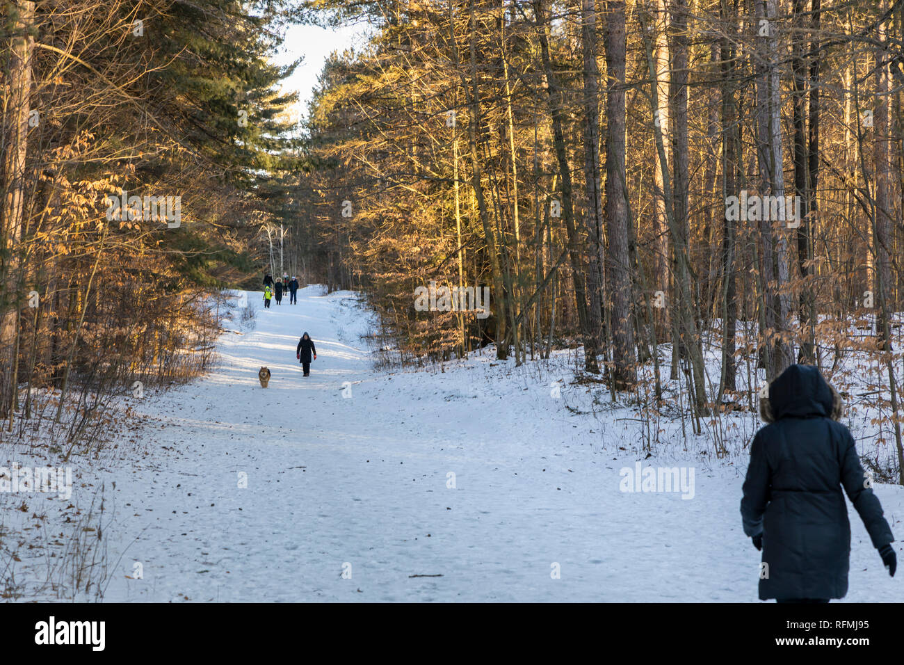 Family day out in forest hi-res stock photography and images - Alamy
