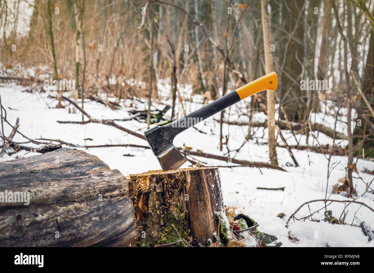 Woodcutter's ax with plastic handle hammered into log in the forest ...