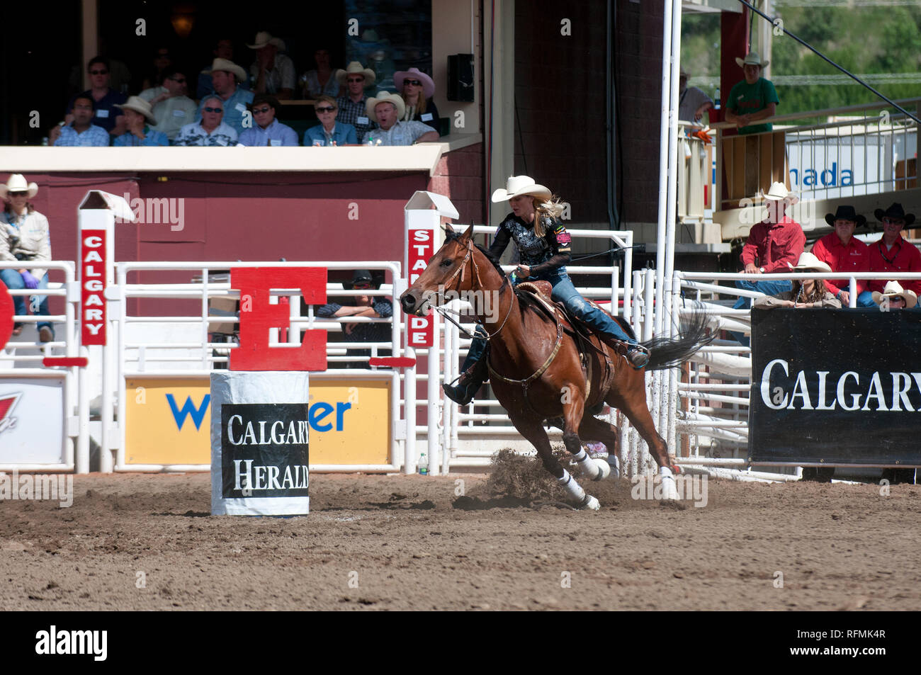Barrel racing at Calgary Stampede, Calgary, Alberta, Canada Stock Photo ...