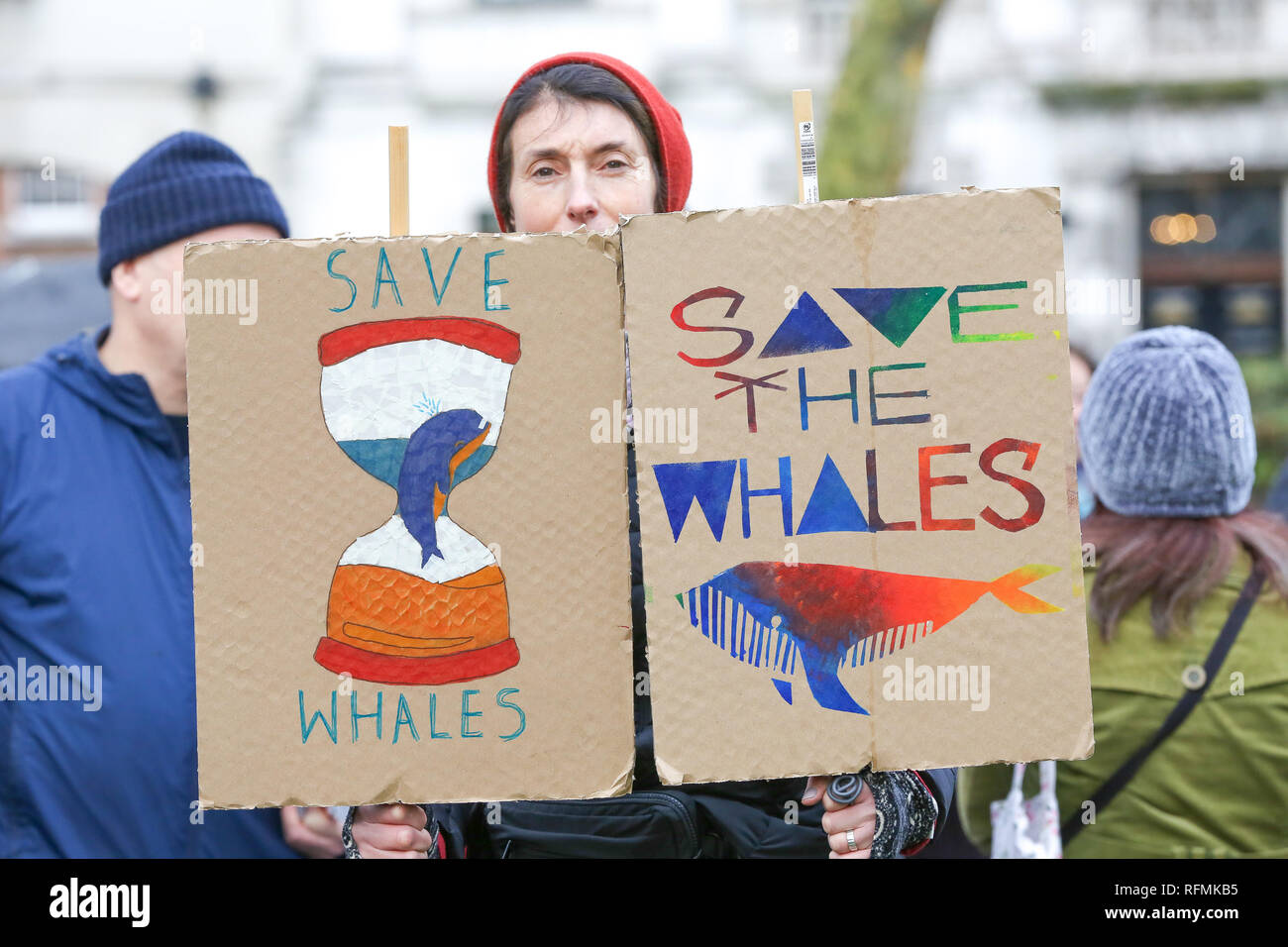 A woman is seen holding placards during the protest against Japanese ...
