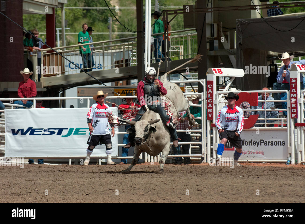 Bull riding hi-res stock photography and images - Alamy