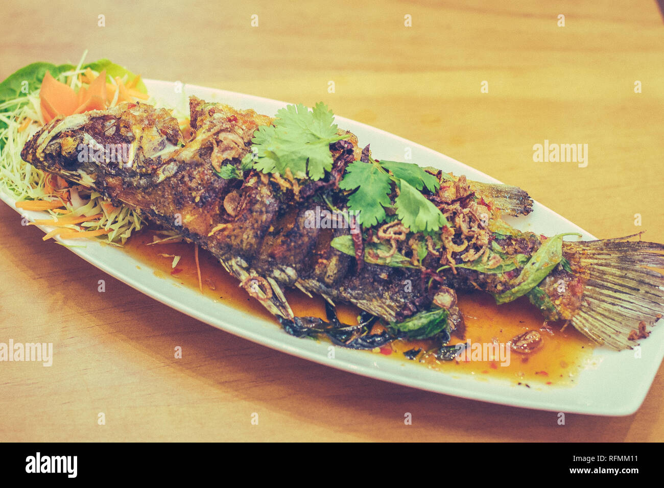 Garoupa fish hi-res stock photography and images - Alamy