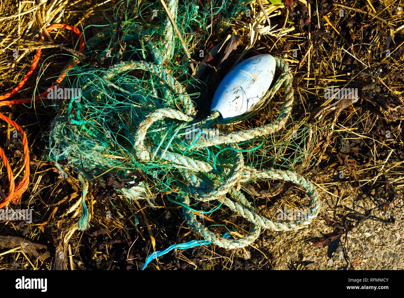 Plastic rope waste and pollution washed up on a beach in Rhosneigr ...