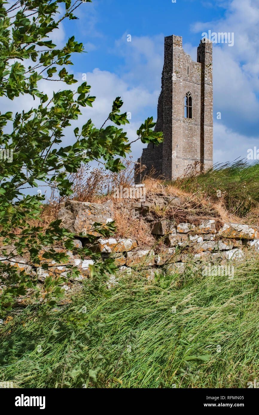 Ruins at Trim Castle Stock Photo - Alamy