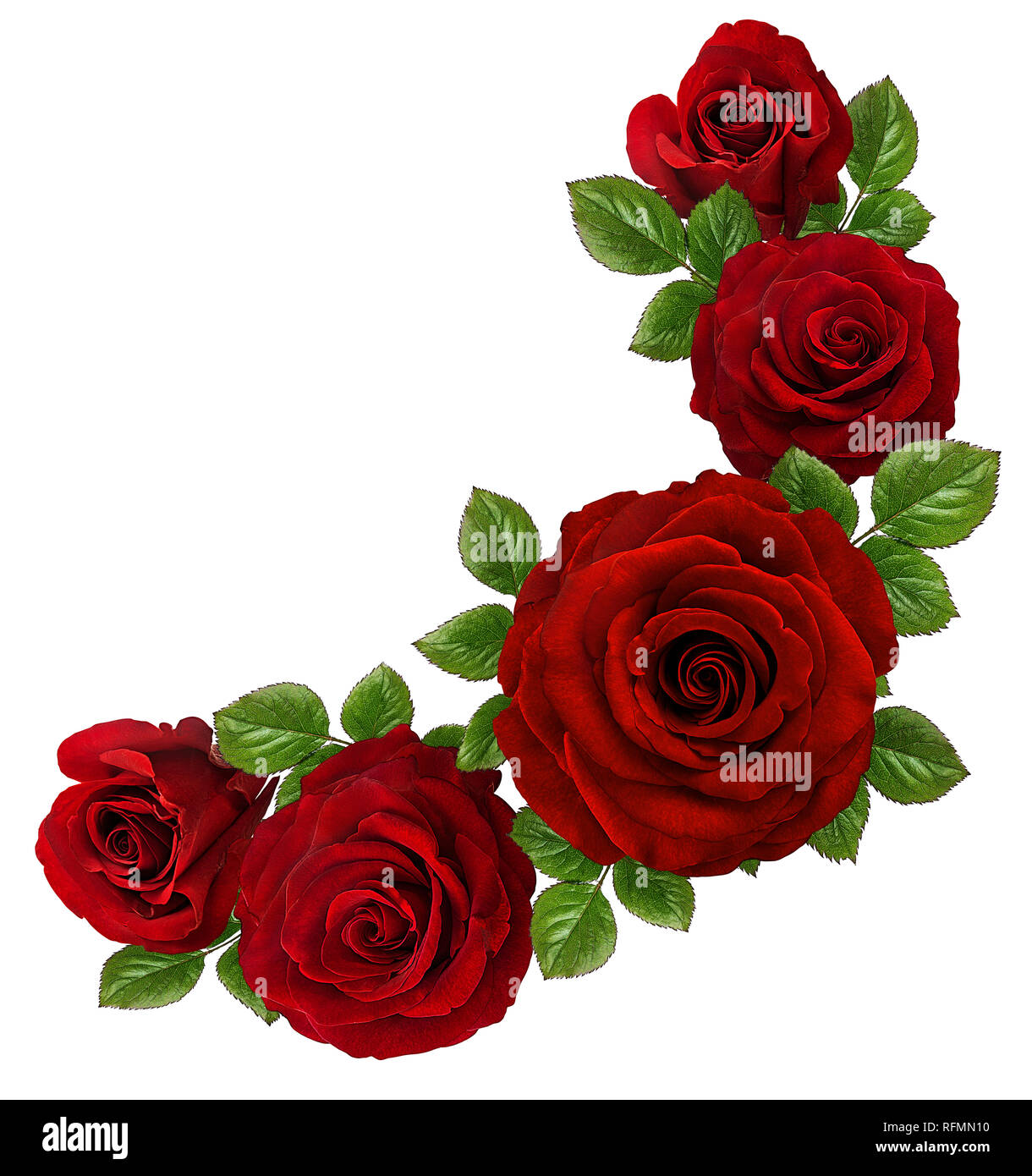 Roses art hi-res stock photography and images - Alamy