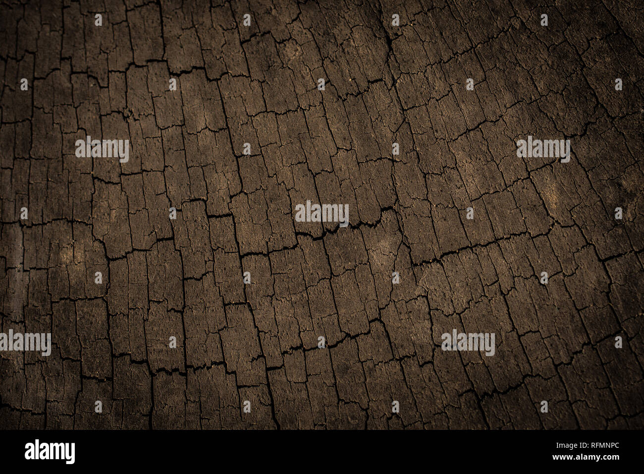 Cut tree stump surface as a background texture Stock Photo - Alamy