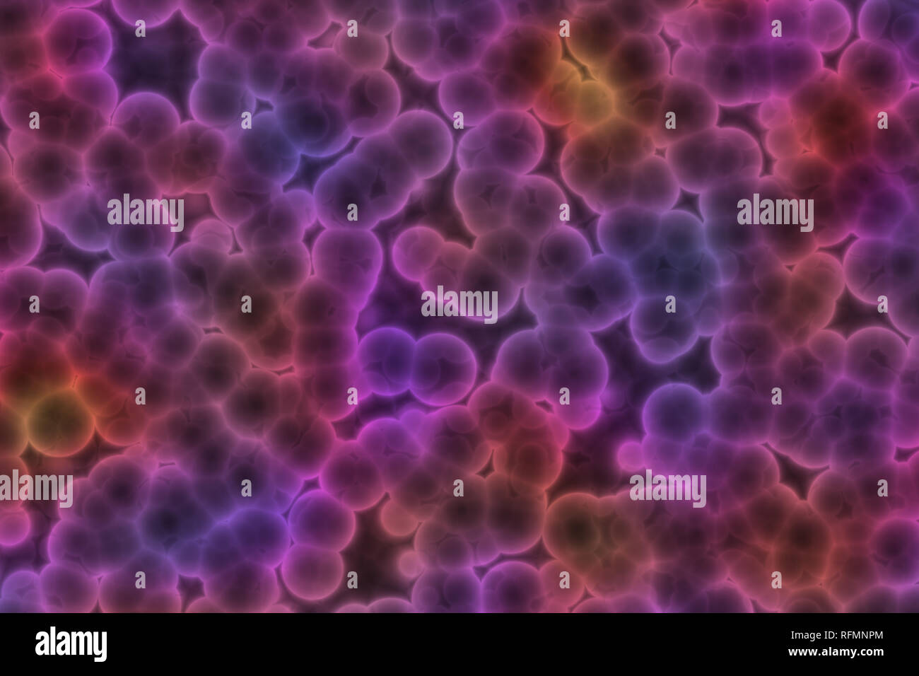 Cocci Bacteria Stock Photos & Cocci Bacteria Stock Images - Alamy