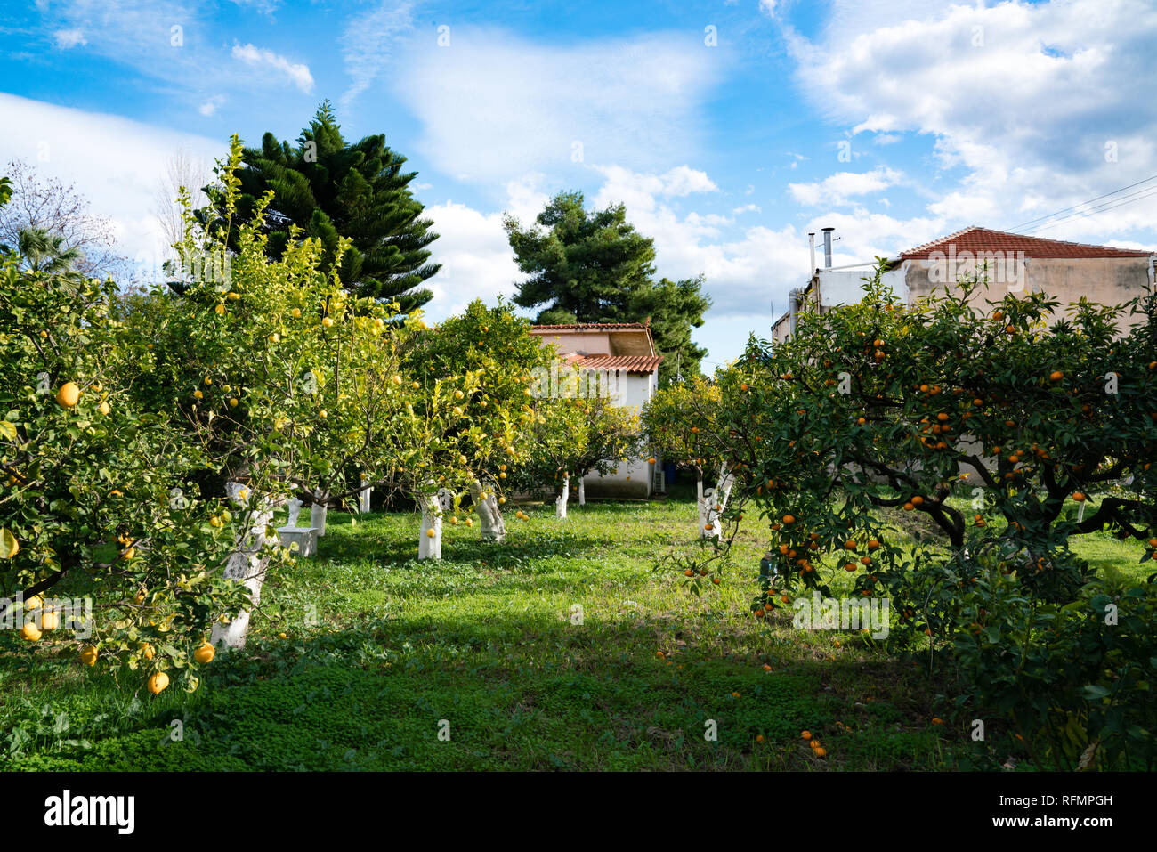 Kalavryta High Resolution Stock Photography and Images - Alamy