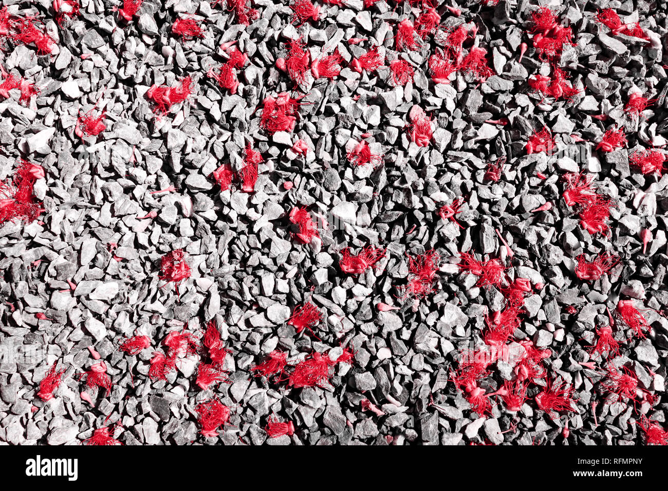 Pollen red fall spread on the area is gravel and floor stone blocks ...