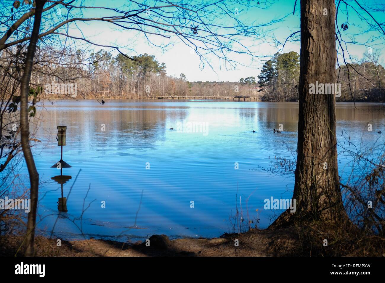 A beautiful view of a wood duck box in the millpond at Historic Yates ...
