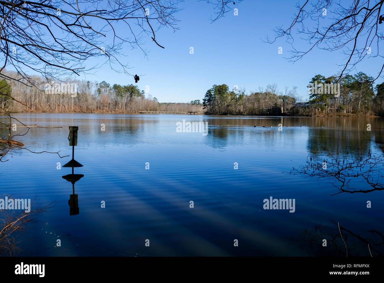 Nice duck pond hi-res stock photography and images - Alamy