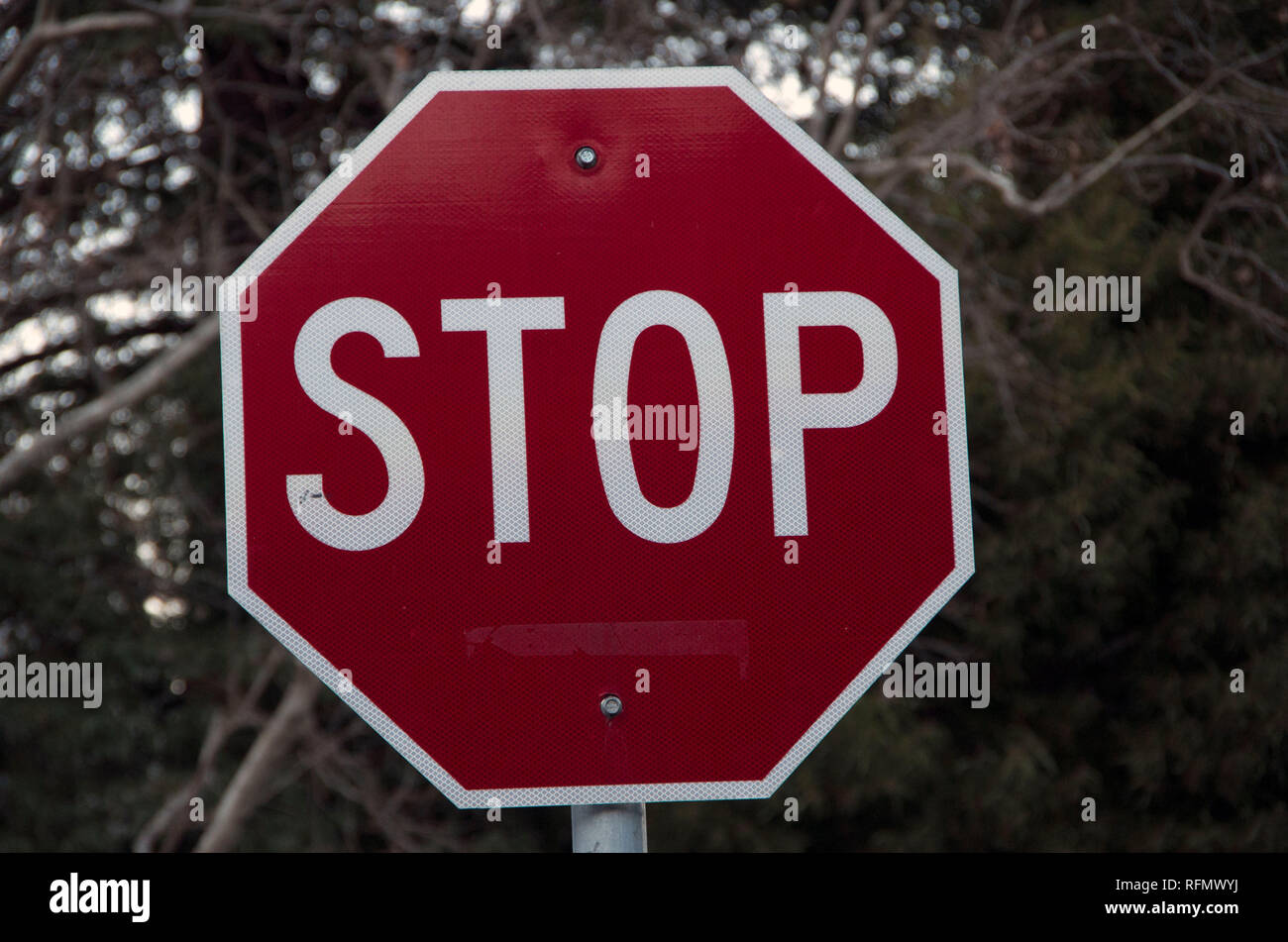 A stop sign on the road clearly indicates when a driver must stop their ...