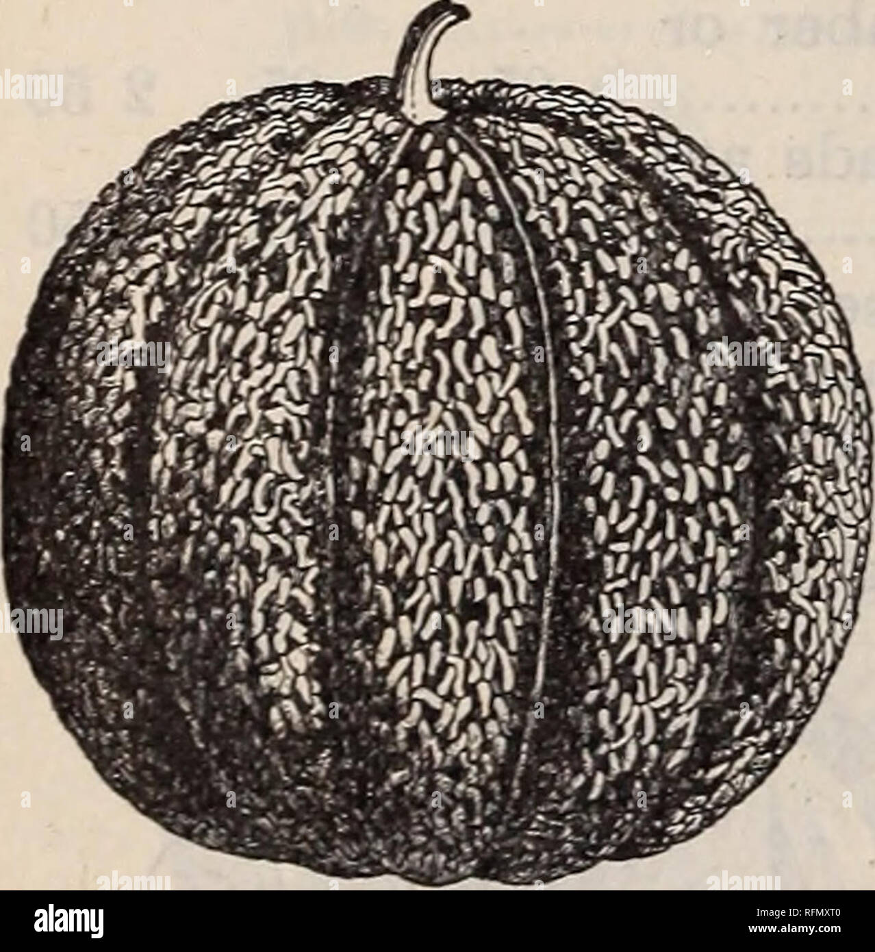 Watermelon together stock hi-res stock photography and images - Alamy