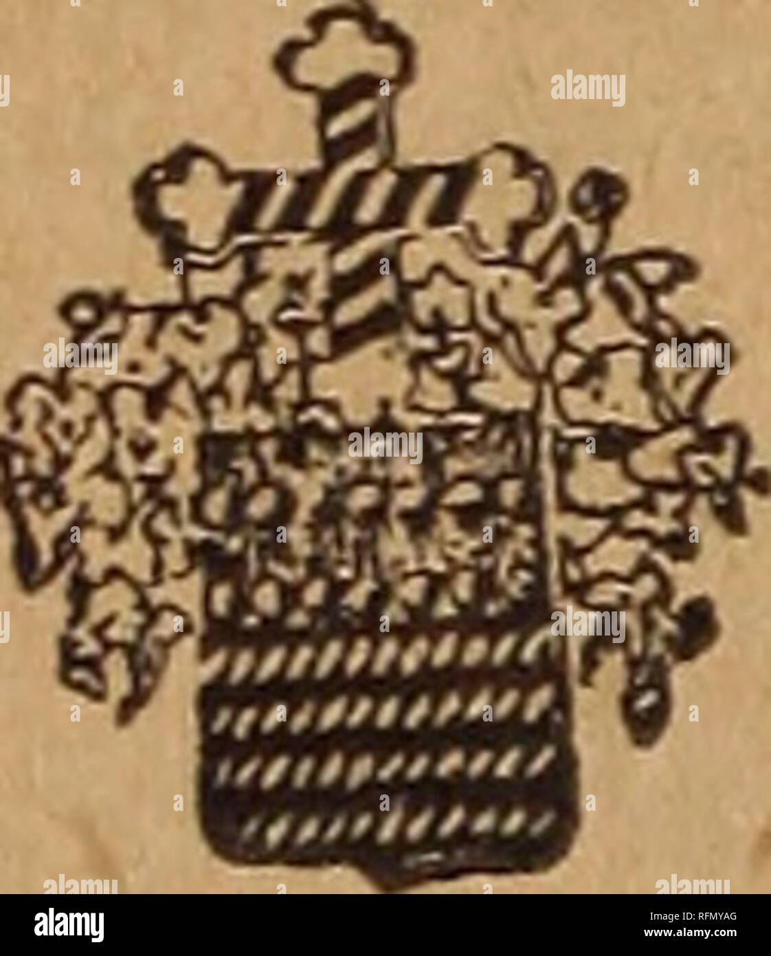 Theo shall hi-res stock photography and images - Alamy