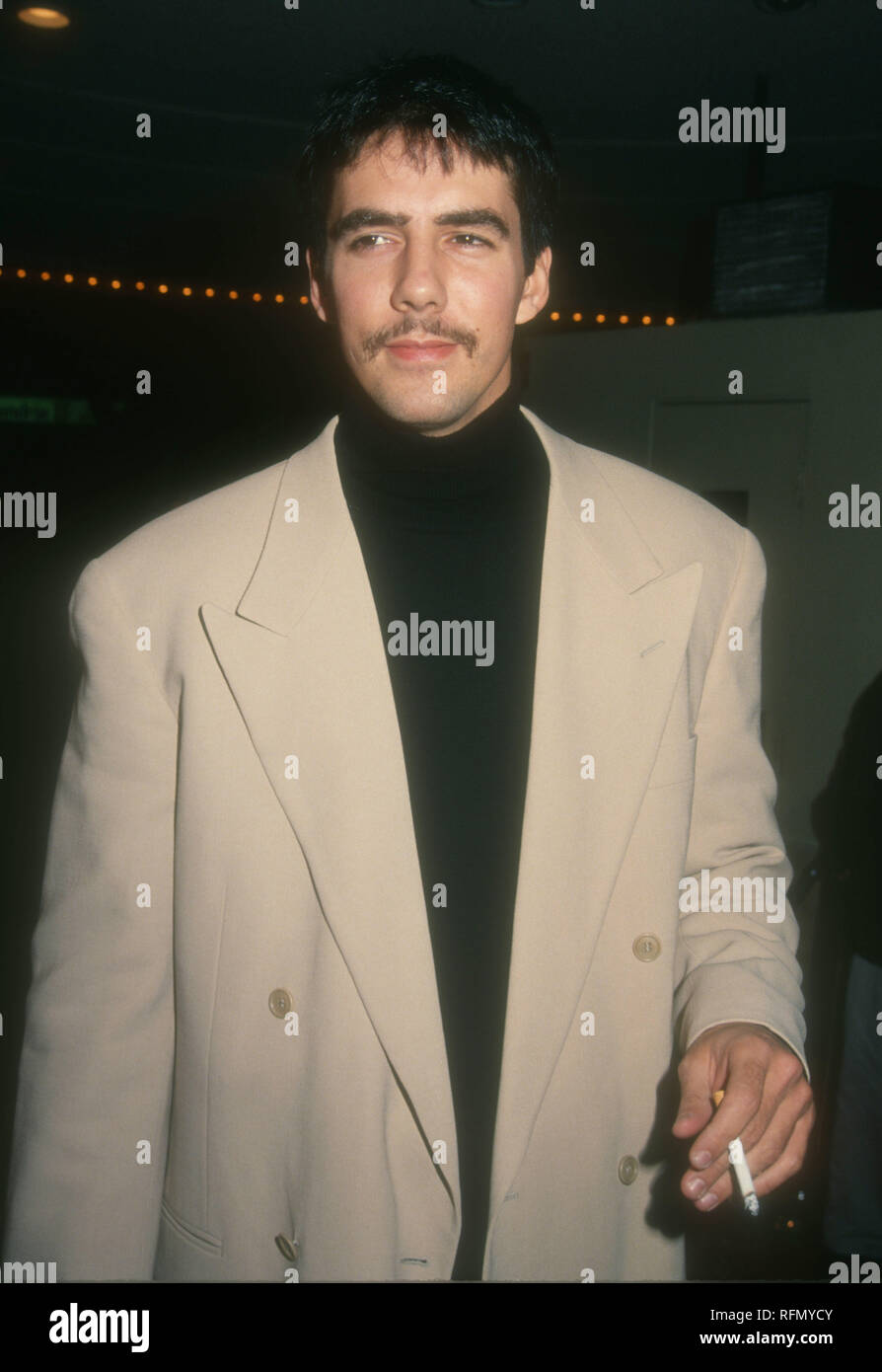 WESTWOOD, CA - NOVEMBER 10: Actor Adam Trese attends Warner Bros ...