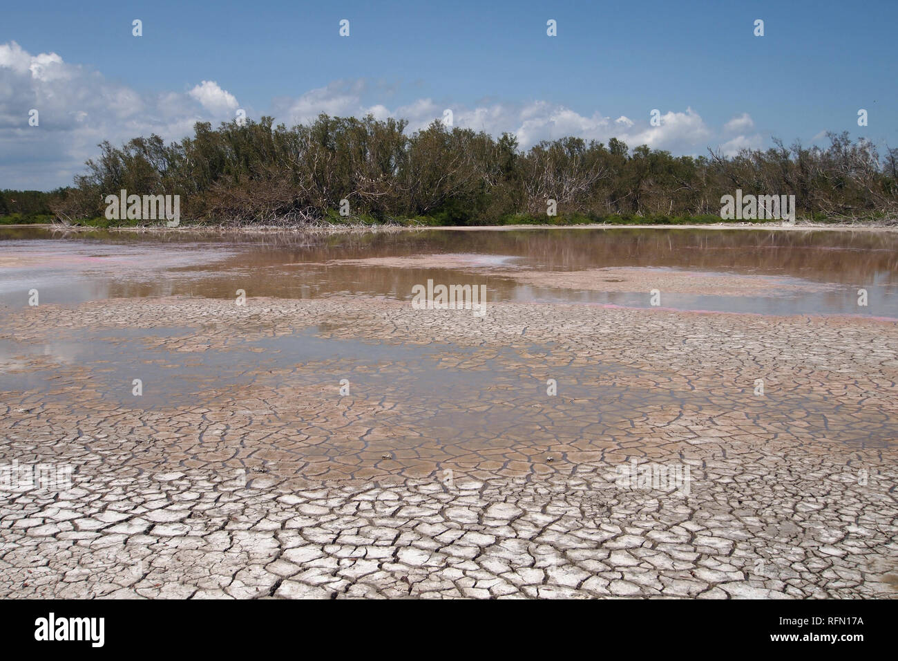 Eco Pond in Everglades National Park, Florida, in extreme drought ...