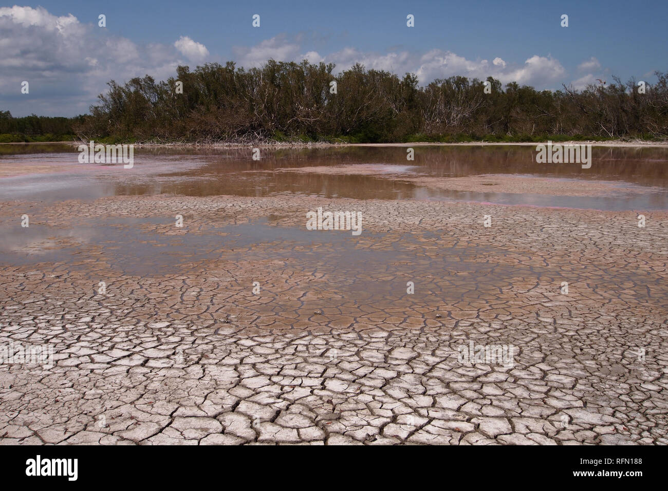 Eco Pond in Everglades National Park, Florida, in extreme drought ...