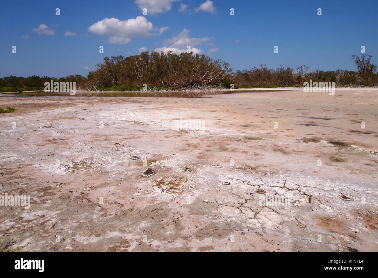 Eco Pond in Everglades National Park, Florida, in extreme drought ...