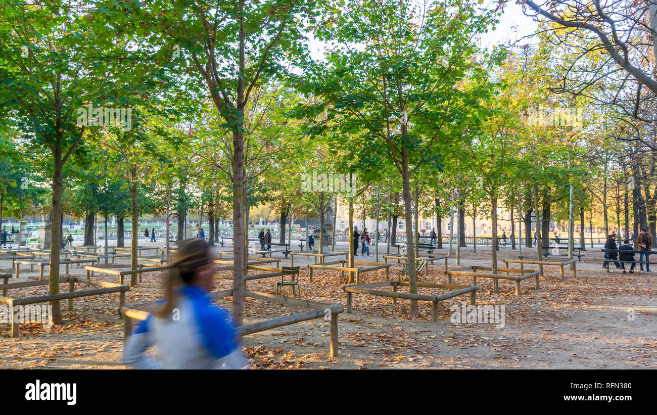 Row of Trees in Luxembourg Gardens in Paris Stock Photo - Alamy