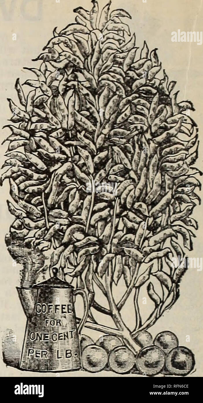 Birth of esau and jacob hi-res stock photography and images - Alamy