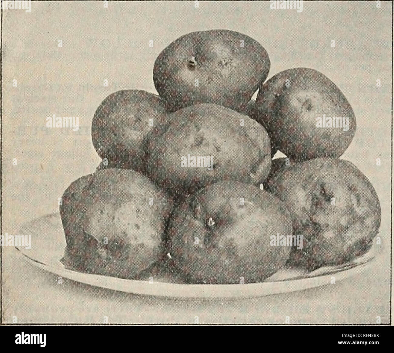 Bushels arizona hi-res stock photography and images - Alamy