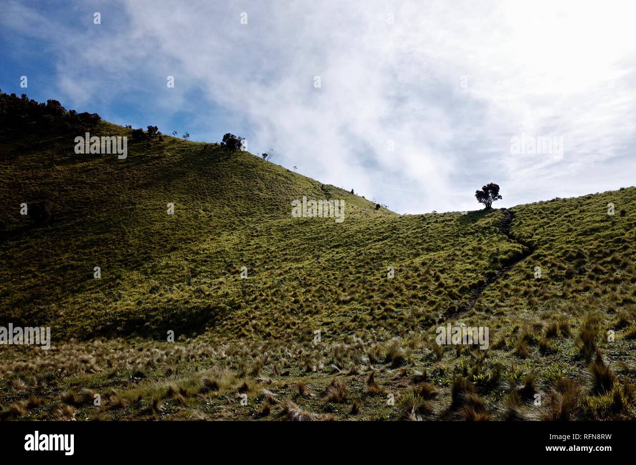 Double Summit Mount Merapi and Mount Merbabu experience Stock Photo - Alamy
