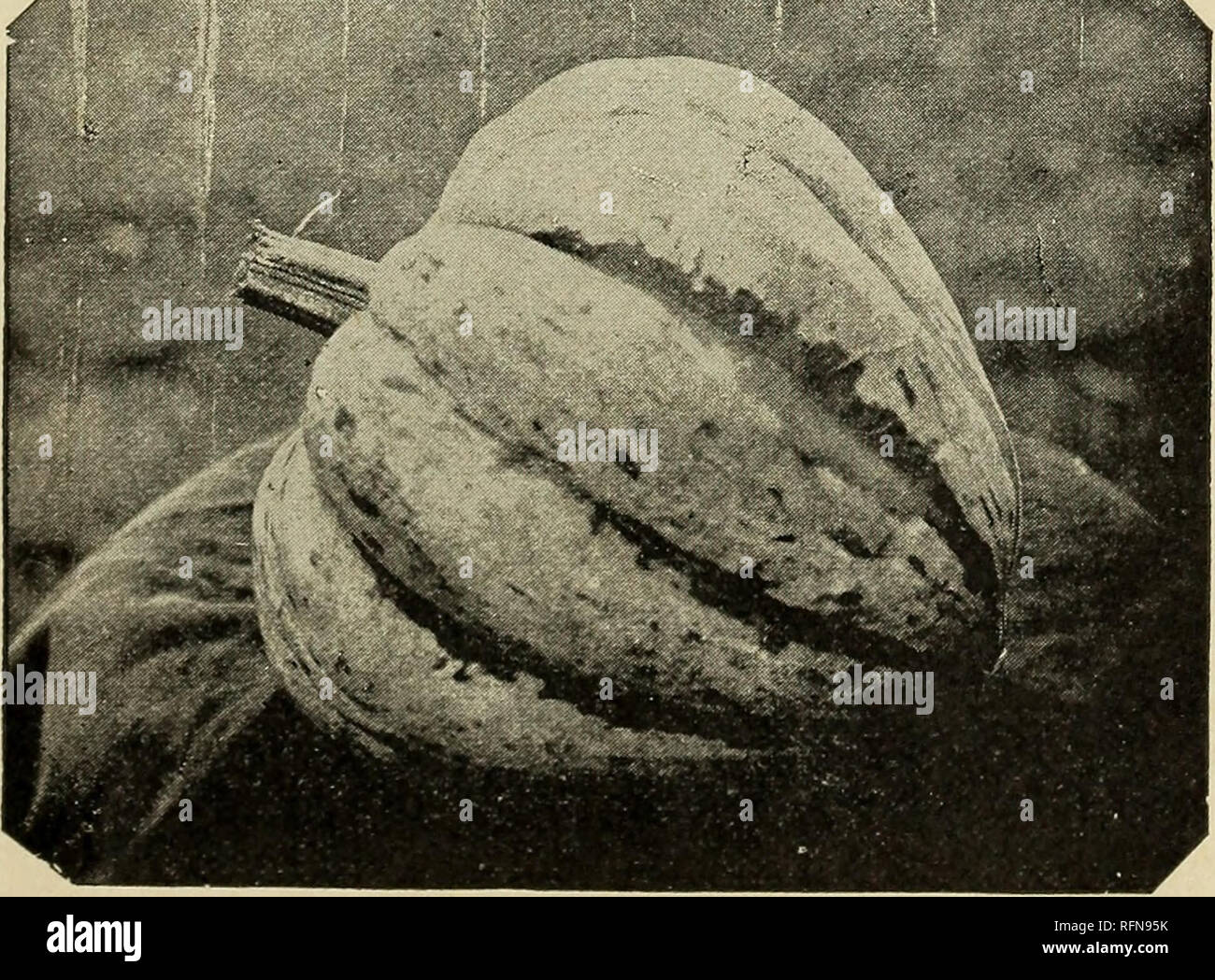 . Wholesale price list : Leonard's seeds. Nursery stock Illinois ...