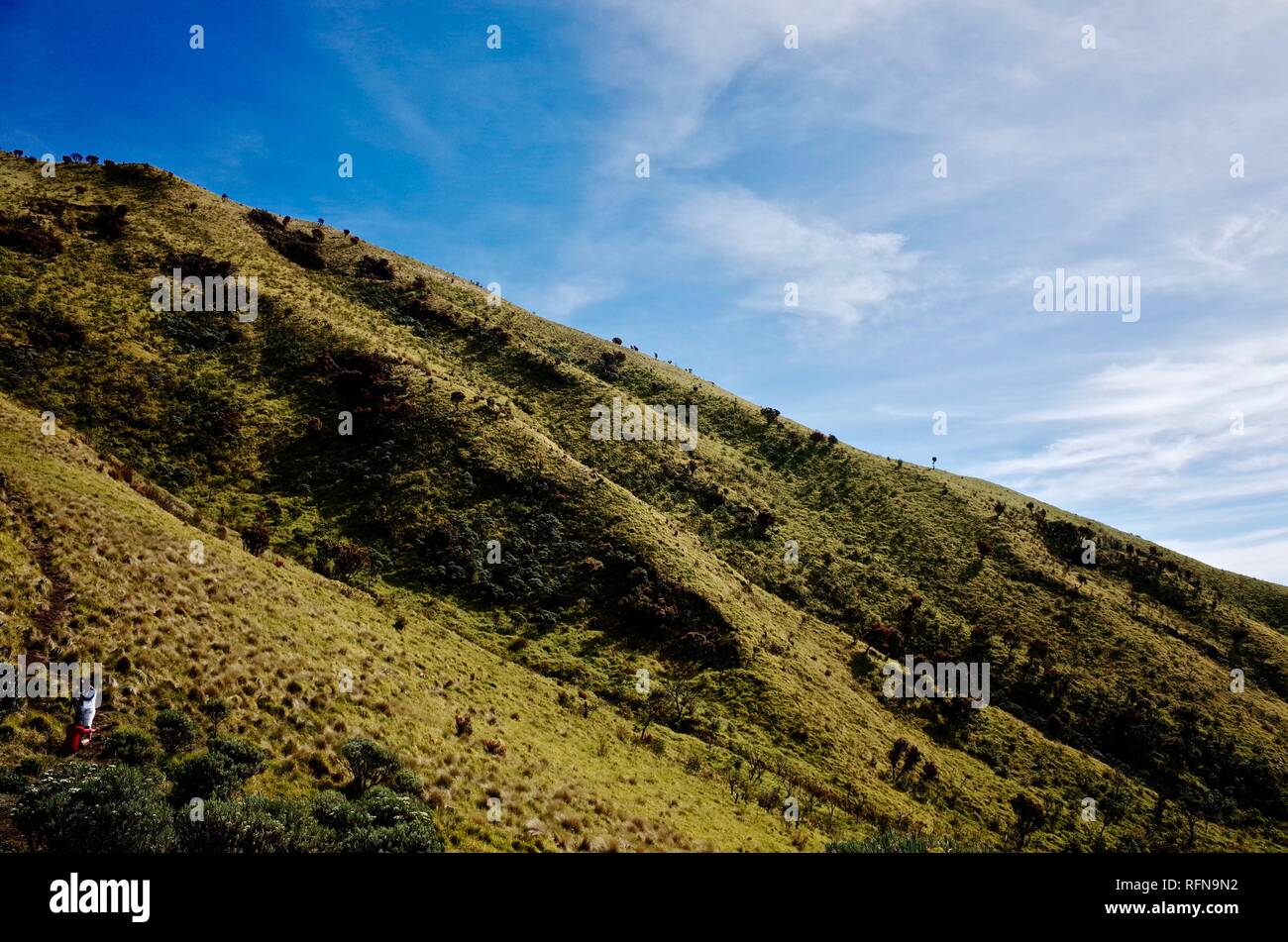 Double Summit Mount Merapi and Mount Merbabu experience Stock Photo - Alamy