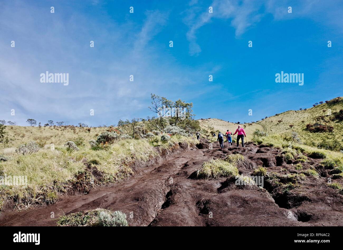 Double Summit Mount Merapi and Mount Merbabu experience Stock Photo - Alamy