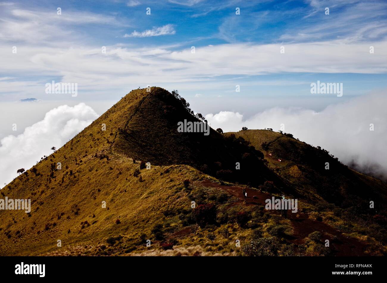 Double Summit Mount Merapi and Mount Merbabu experience Stock Photo - Alamy