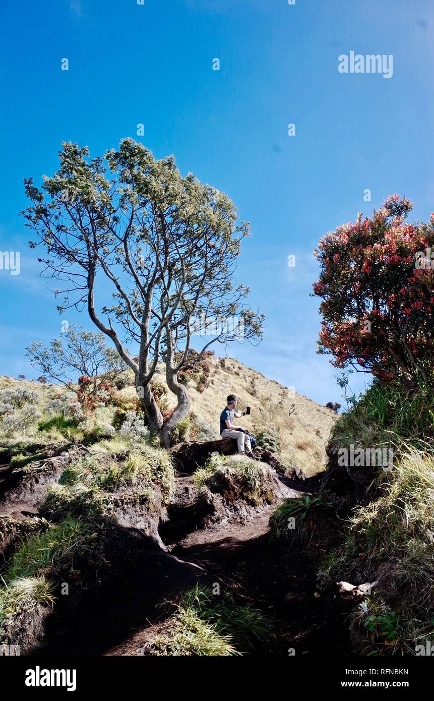 Double Summit Mount Merapi and Mount Merbabu experience Stock Photo - Alamy