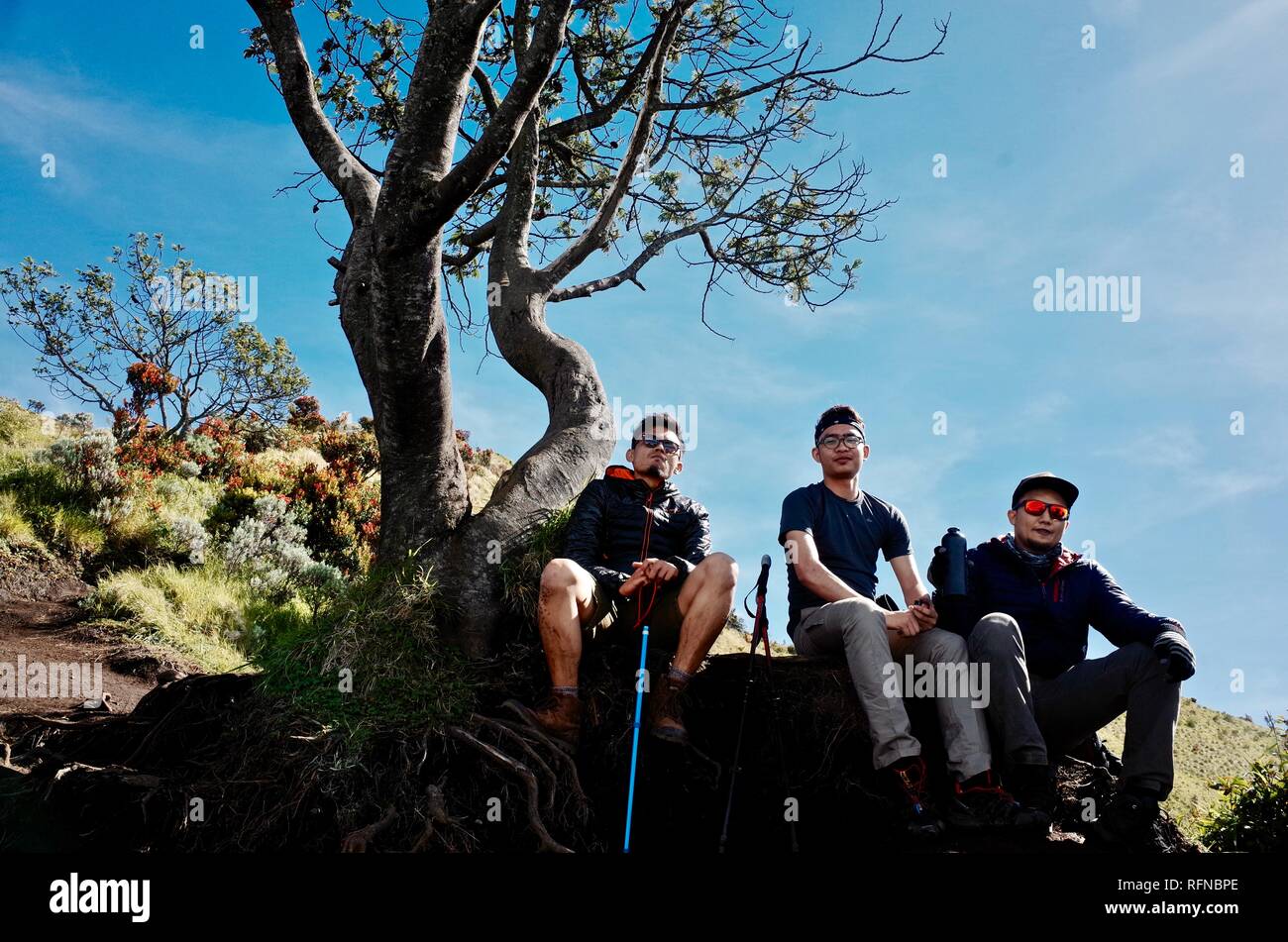 Double Summit Mount Merapi and Mount Merbabu experience Stock Photo - Alamy