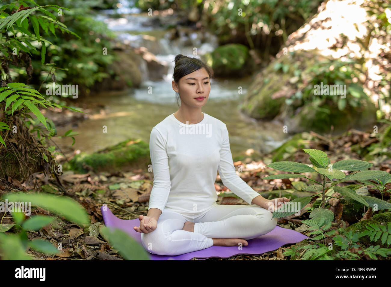 Beautiful girls are playing yoga at the park. Among the natural ...