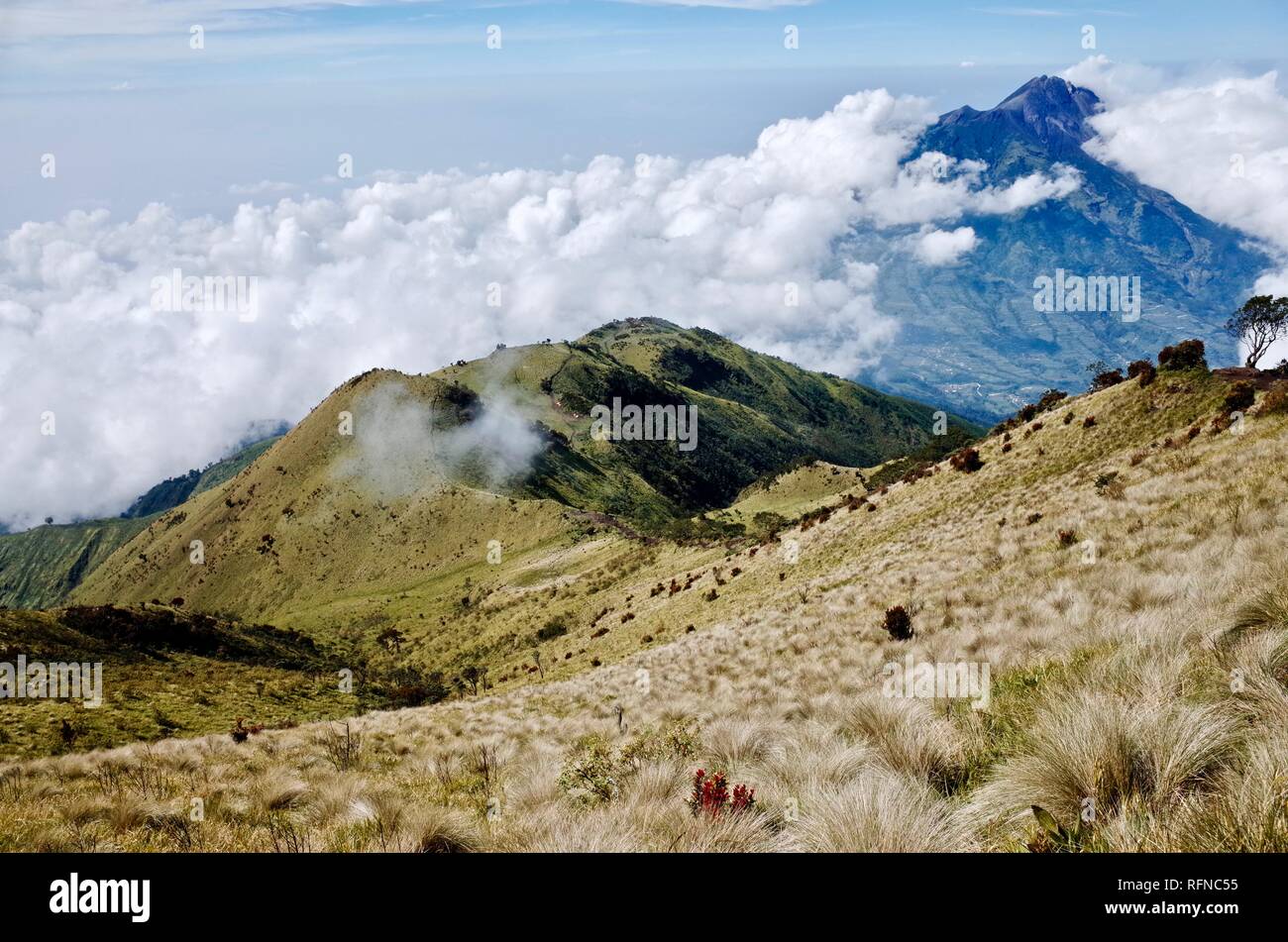 Double Summit Mount Merapi and Mount Merbabu experience Stock Photo - Alamy